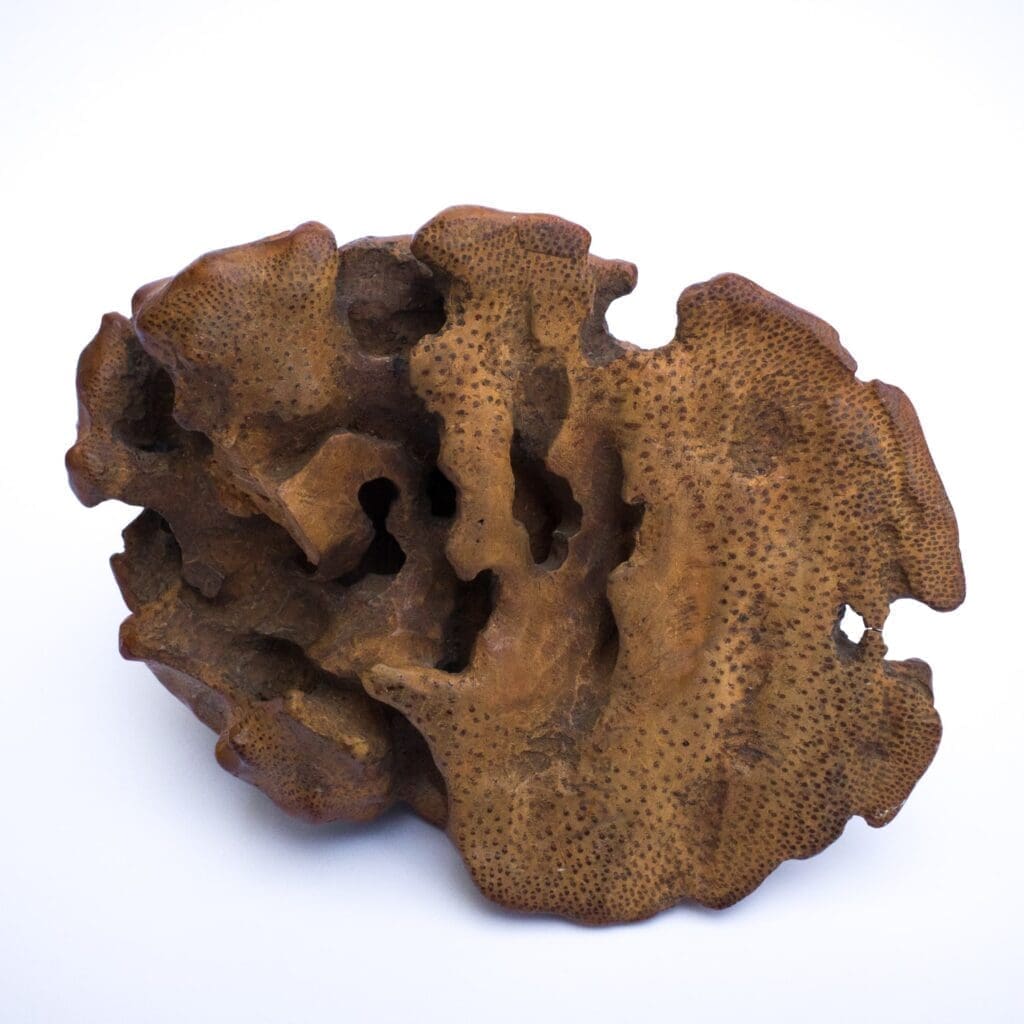 Fine Antique Chinese Bamboo Root Carving of a Daoist Immortal. Late ...