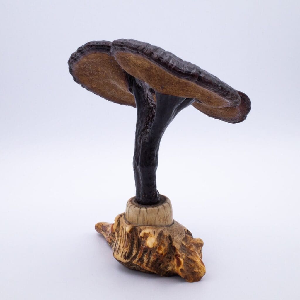 Antique Chinese Lingzhi Fungus Specimen on a Stag Antler Stand. Qing ...